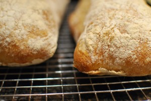 Ciabatta | A Bread A Day